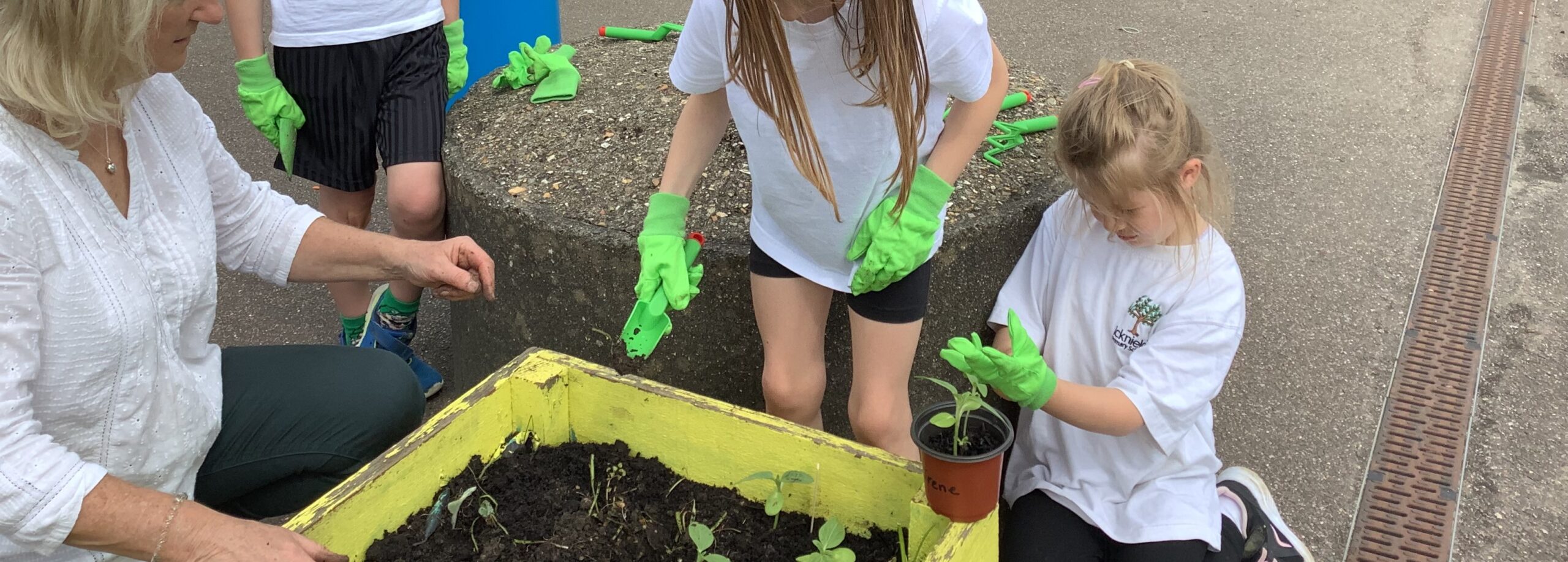 PSHE and RSE – Icknield Primary School