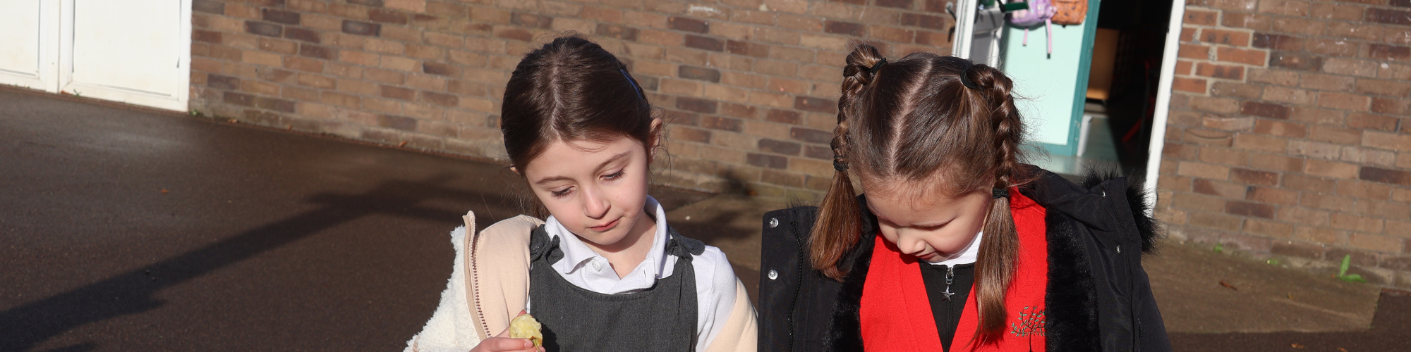 Uniform – Icknield Primary School